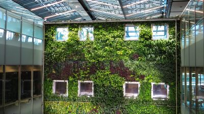 What is biophilic architecture? 15 real-world examples in the built ...